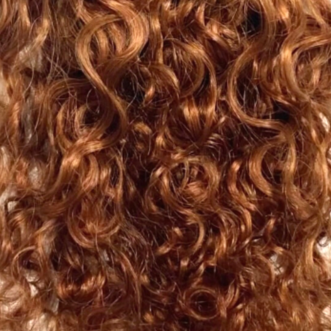 *New* Ginger – BelH Ext.